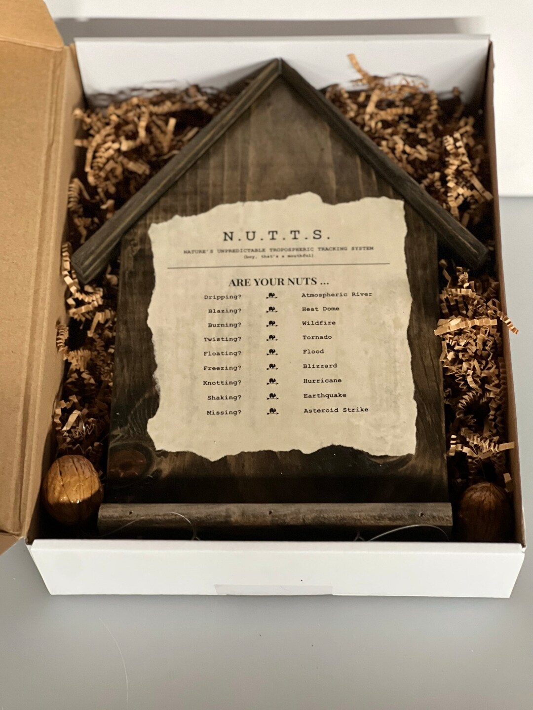 Novelty Outdoor Weather Station Redneck Weather Nuts White - Etsy