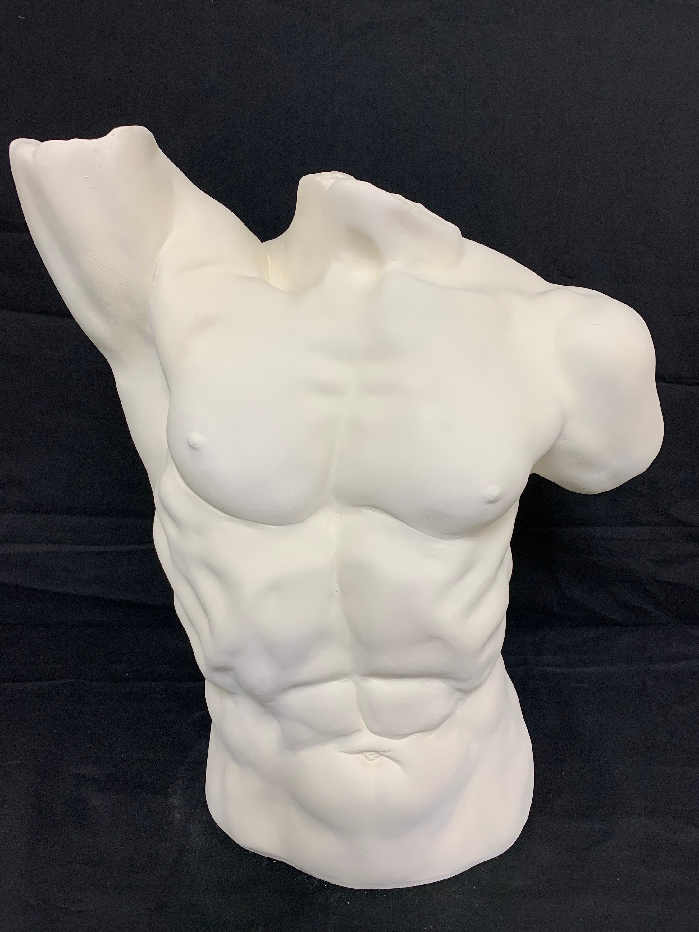 Muscular Male Torso / Beefy Erotic Male Torso / Sexy, Classic Pose ...