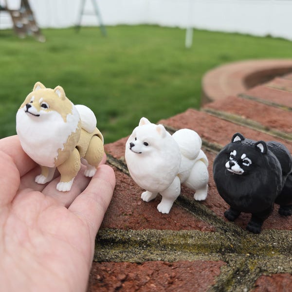 Pomeranian Gift - 60+ Gift Ideas for 2025