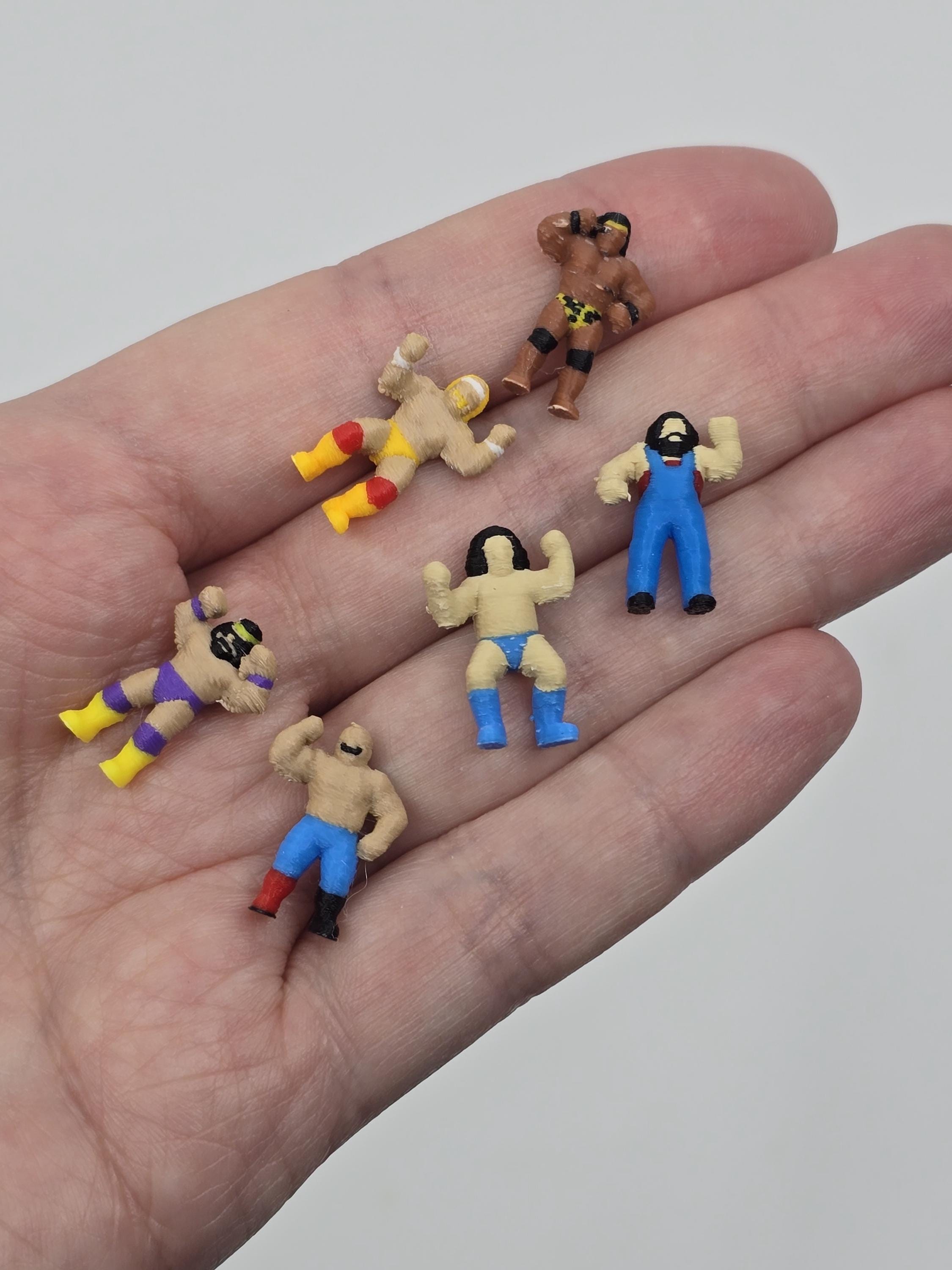 1:12 WWF LJN Ring Custom 3D Print Mini Sling 'em Fling 'em Ring in ...