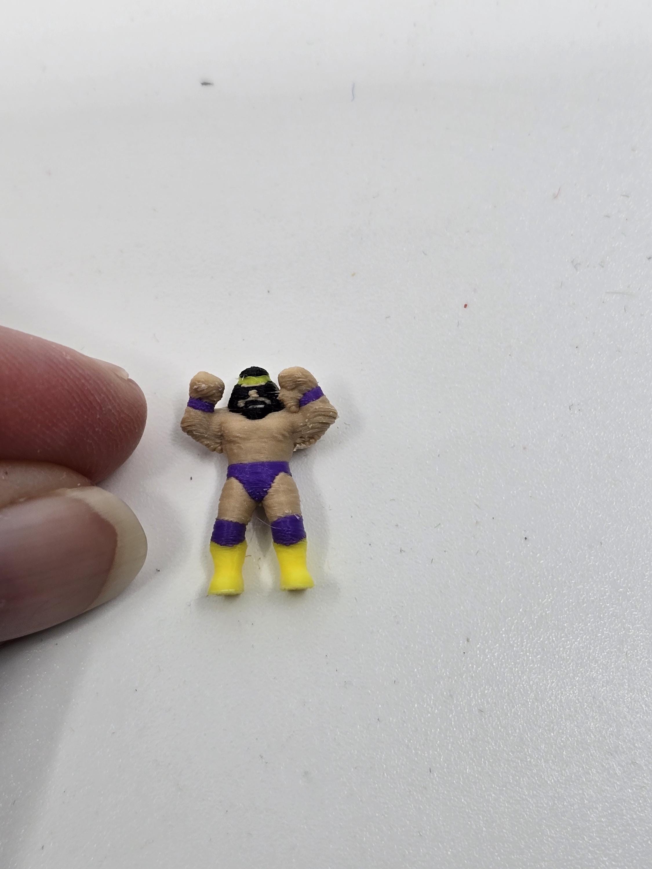 1:12 Scale Tiny WWF Superstars Custom 3D Print Mini Figure Wrestler ...