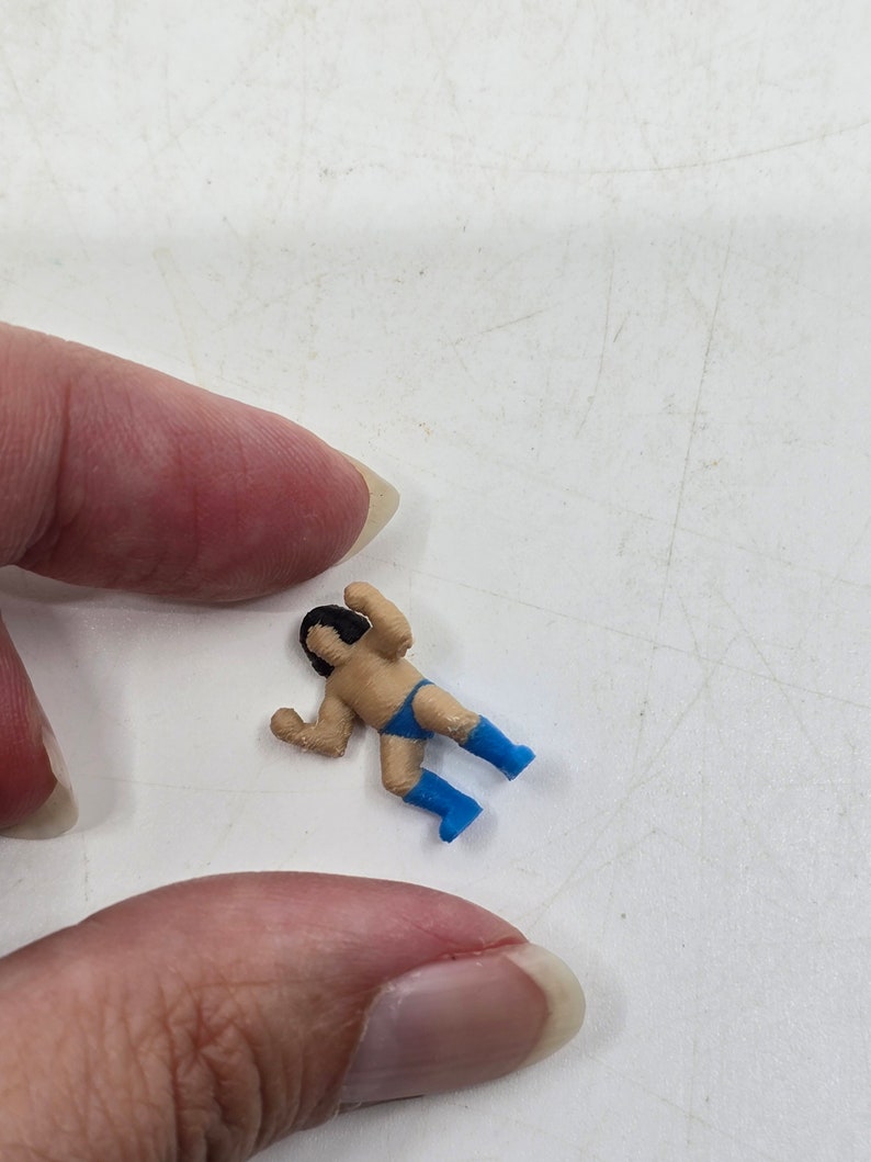1:12 Scale Tiny WWF Superstars Custom 3D Print Mini Figure Wrestler ...