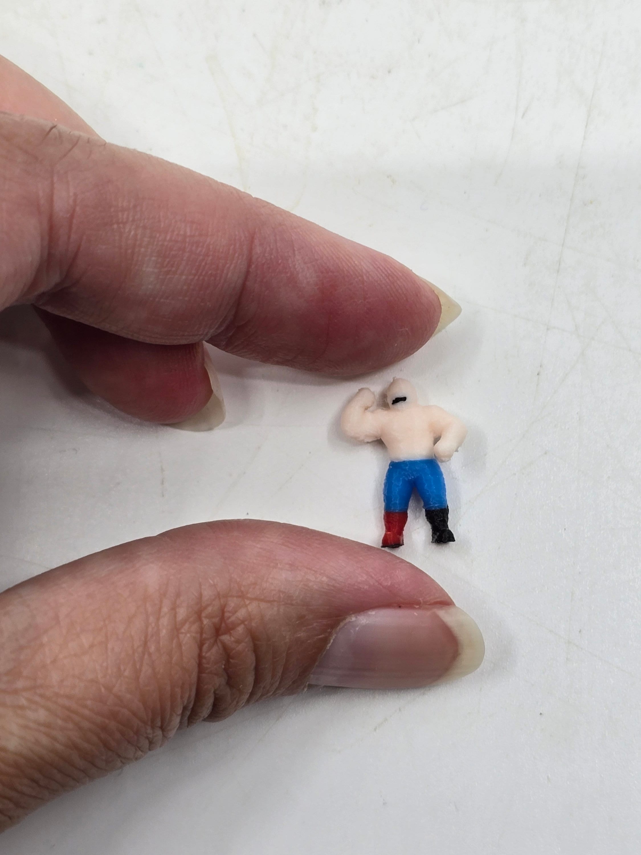 1:12 Scale Tiny WWF Superstars Custom 3D Print Mini Figure Wrestler ...