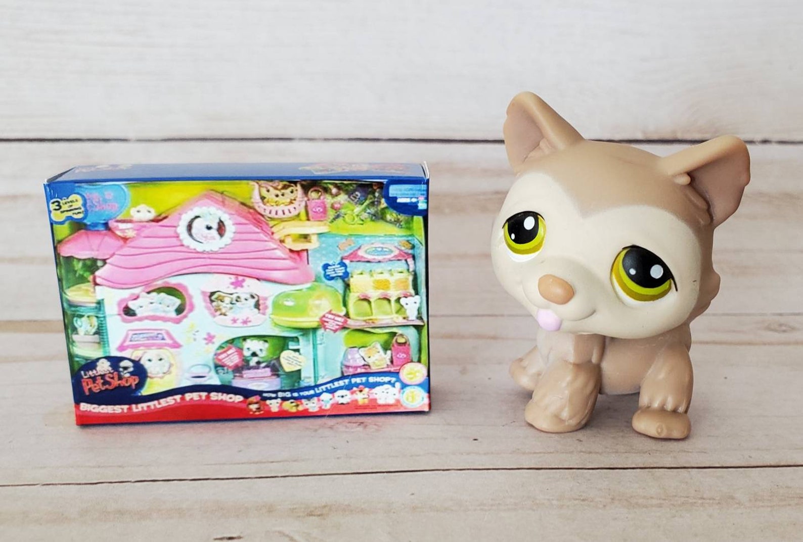 1:12 Biggest Littlest Pet Shop Fan Art Custom Miniature Box Playset ...