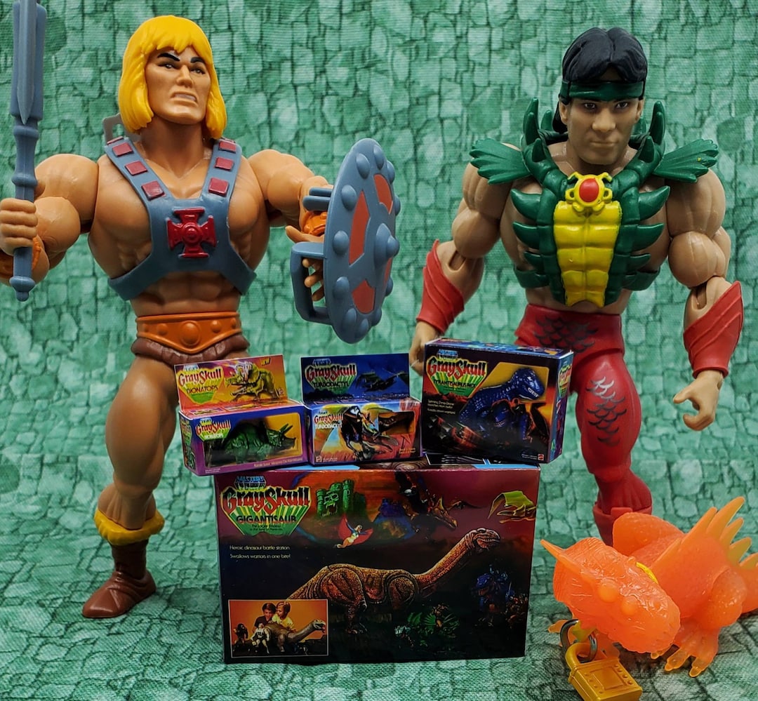 1:12 MOTU Custom Fan Art Power Grayskull Preternia Dinos Mini Empty Box ...