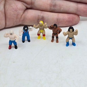 1:12 Scale Tiny WWF Superstars Custom 3D Print Mini Figure Wrestler ...