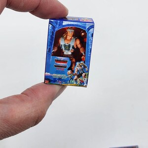 1:12 MOTU Custom Fan Art *SINGLE BOX* Masters Universe Miniature Giant ...