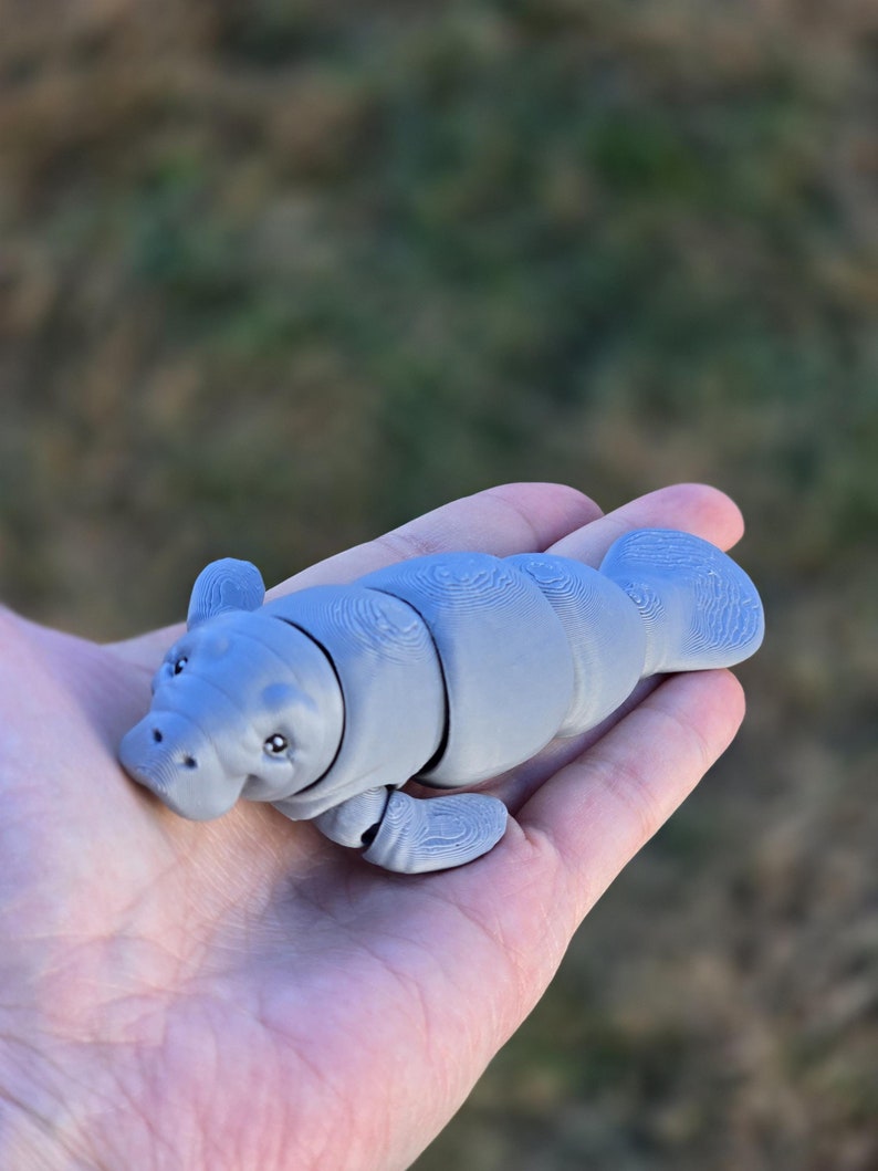 1:24 Scale Manatee Sea Cow 3D Print Articulated Printed 3-D Figure ...