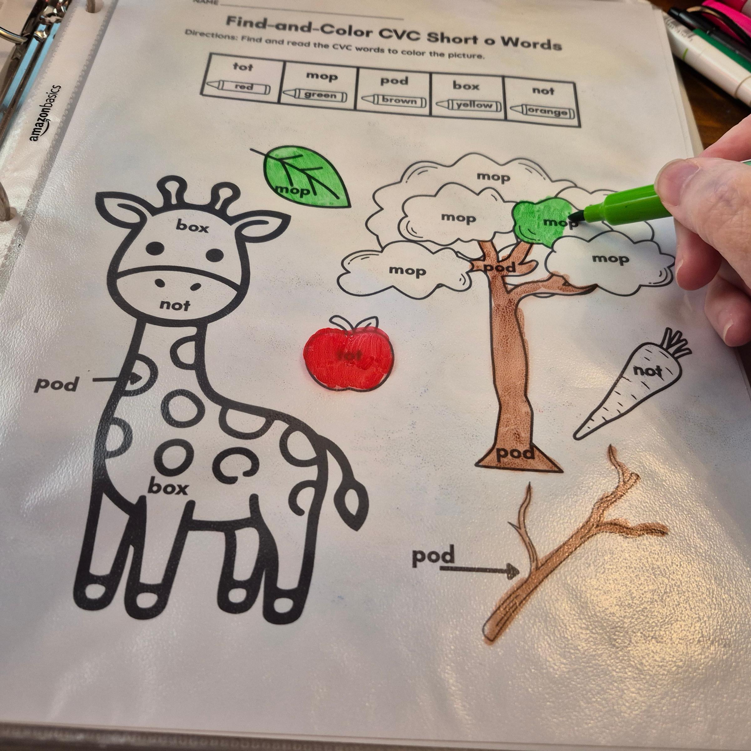 Zoo Animals Color by CVC Words for Preschool and Kindergarten - Etsy