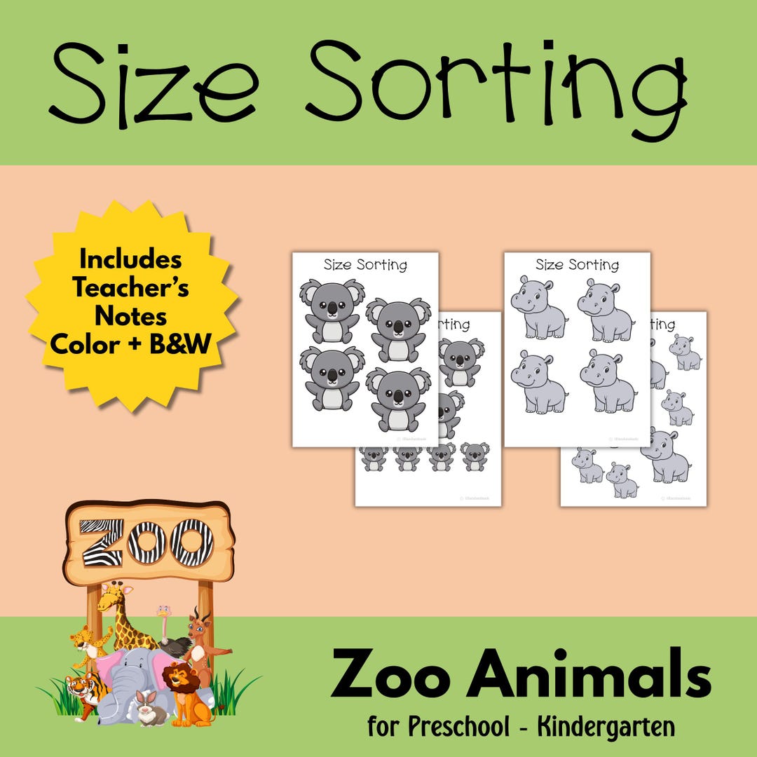 Zoo Animals Size Sorting Pack for Preschool and Kindergarten - Etsy