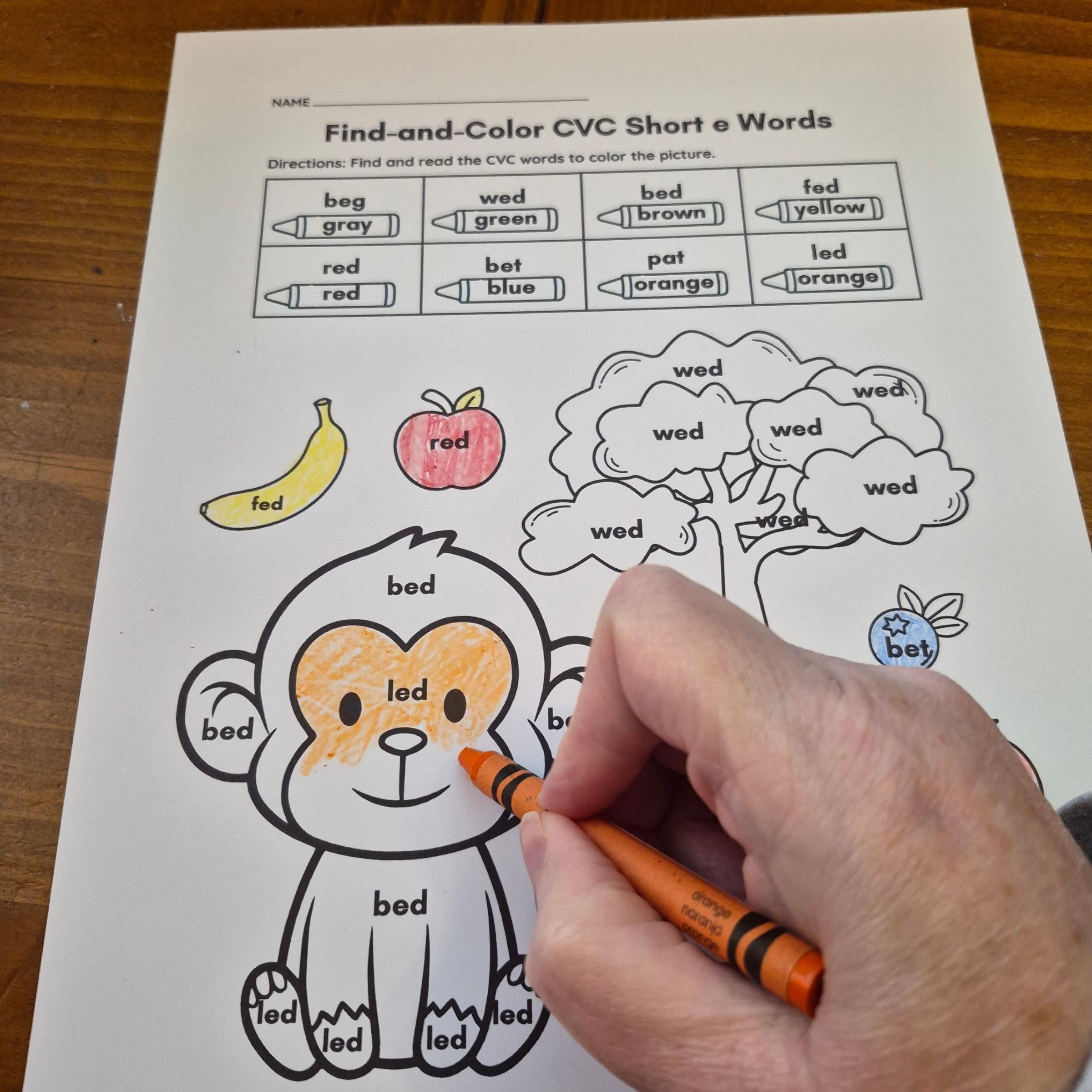 Zoo Animals Color by CVC Words for Preschool and Kindergarten - Etsy