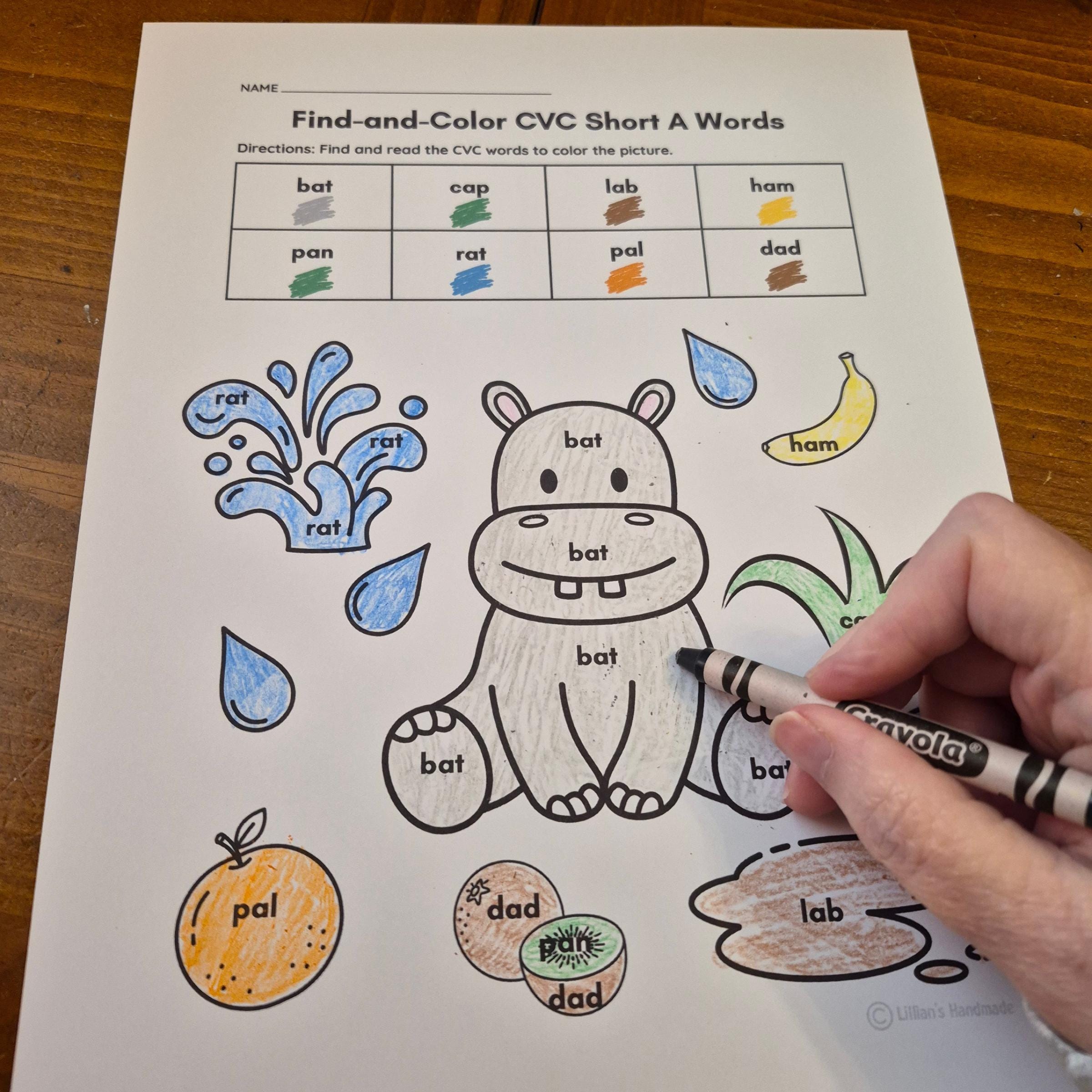 Zoo Animals Color by CVC Words for Preschool and Kindergarten - Etsy