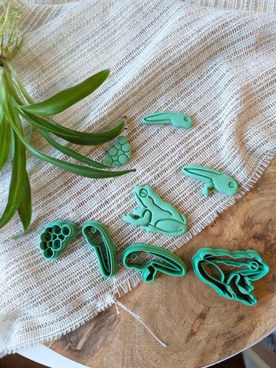 Frog Life Cycle Eco Dough Cutter Set by T. C. Play - Etsy