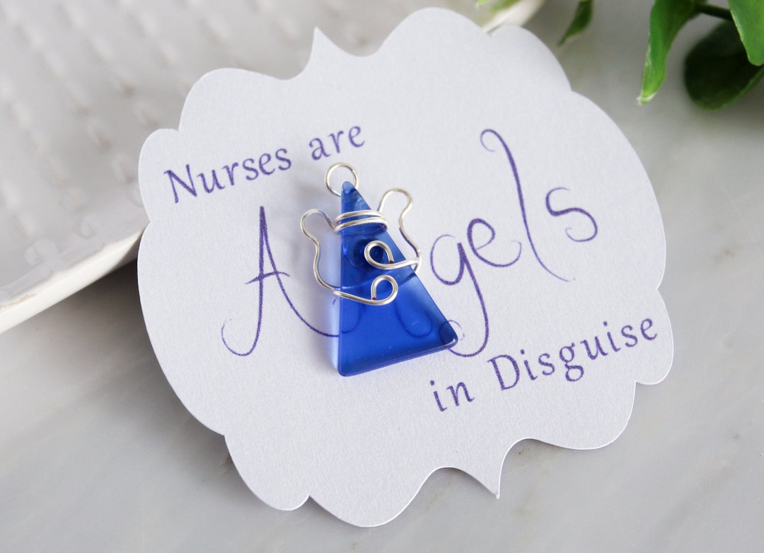 Angel Nursing School Pins Preceptor Gift Appreciation Week Practitioner ...