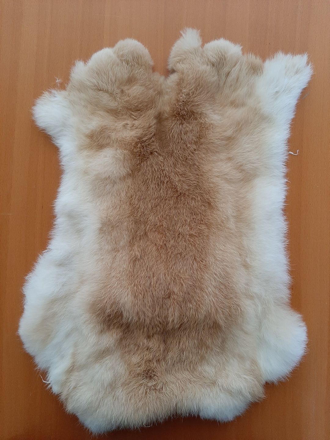 1x Ginger Rabbit Skin Fur Pelt Tanned for Dummy Dog Training Crafts ...