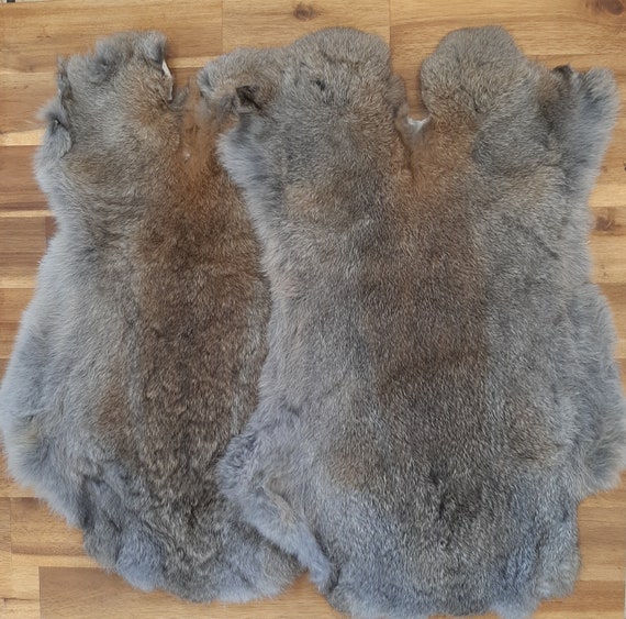 10x Wild Highland Rabbit Skin Fur Pelt Tanned for Animal - Etsy