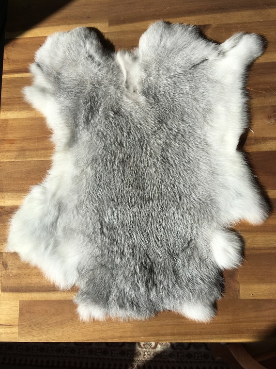 10 X Silver Grey Rabbit Skin Real Fur Pelt Tanned for Dummy | Etsy UK