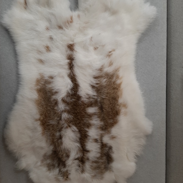 Rabbit Pelt - Etsy