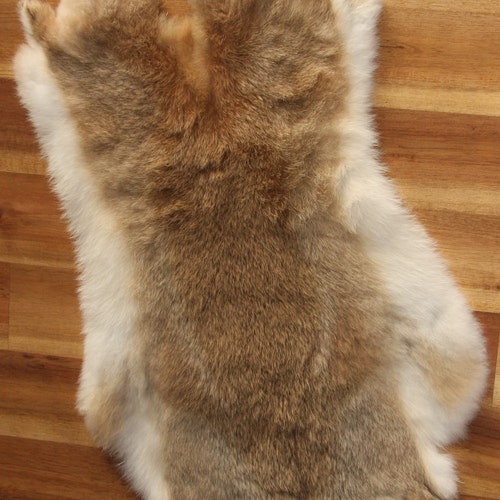 1x WILD MEADOW Rabbit Skin Fur Pelt Tanned for Animal - Etsy
