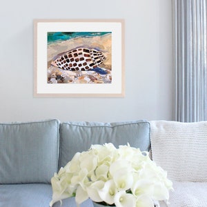 Junonia, Fine Art Print, Magazine Collage, Upcycle, Shells, Beach ...