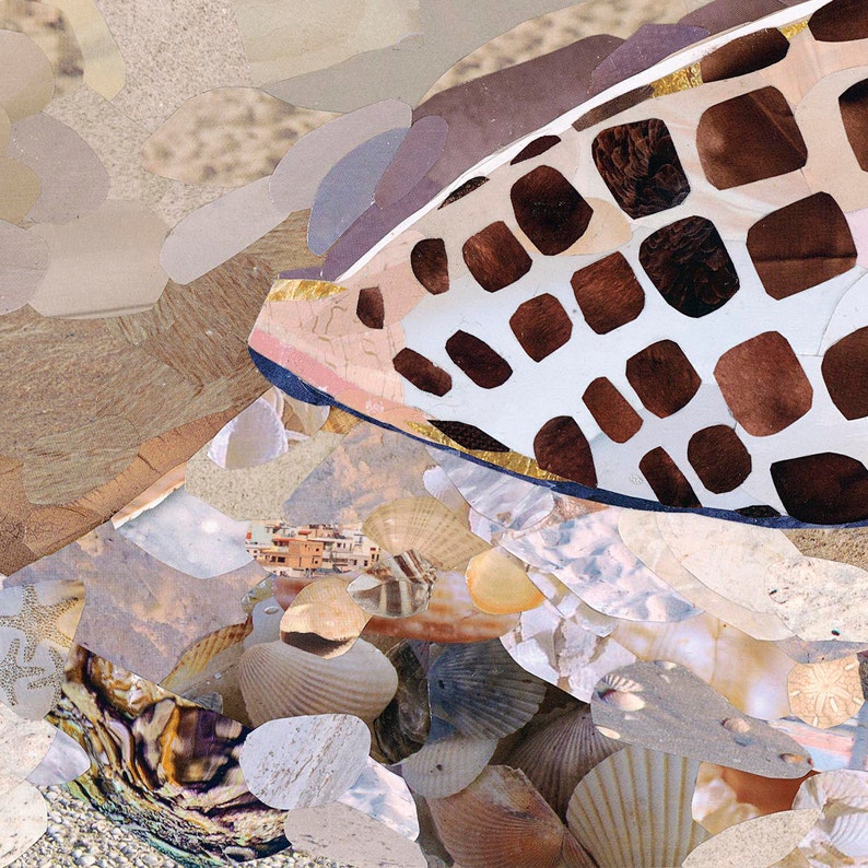 Junonia, Fine Art Print, Magazine Collage, Upcycle, Shells, Beach ...