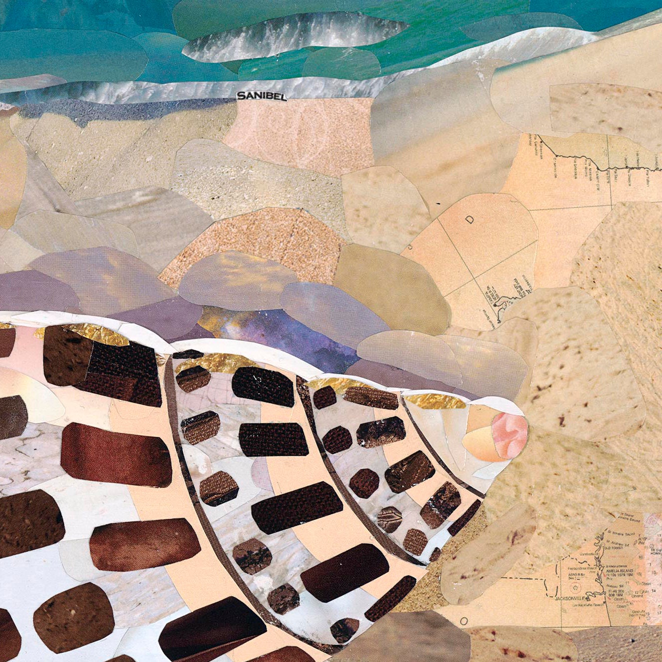 Junonia, Fine Art Print, Magazine Collage, Upcycle, Shells, Beach ...