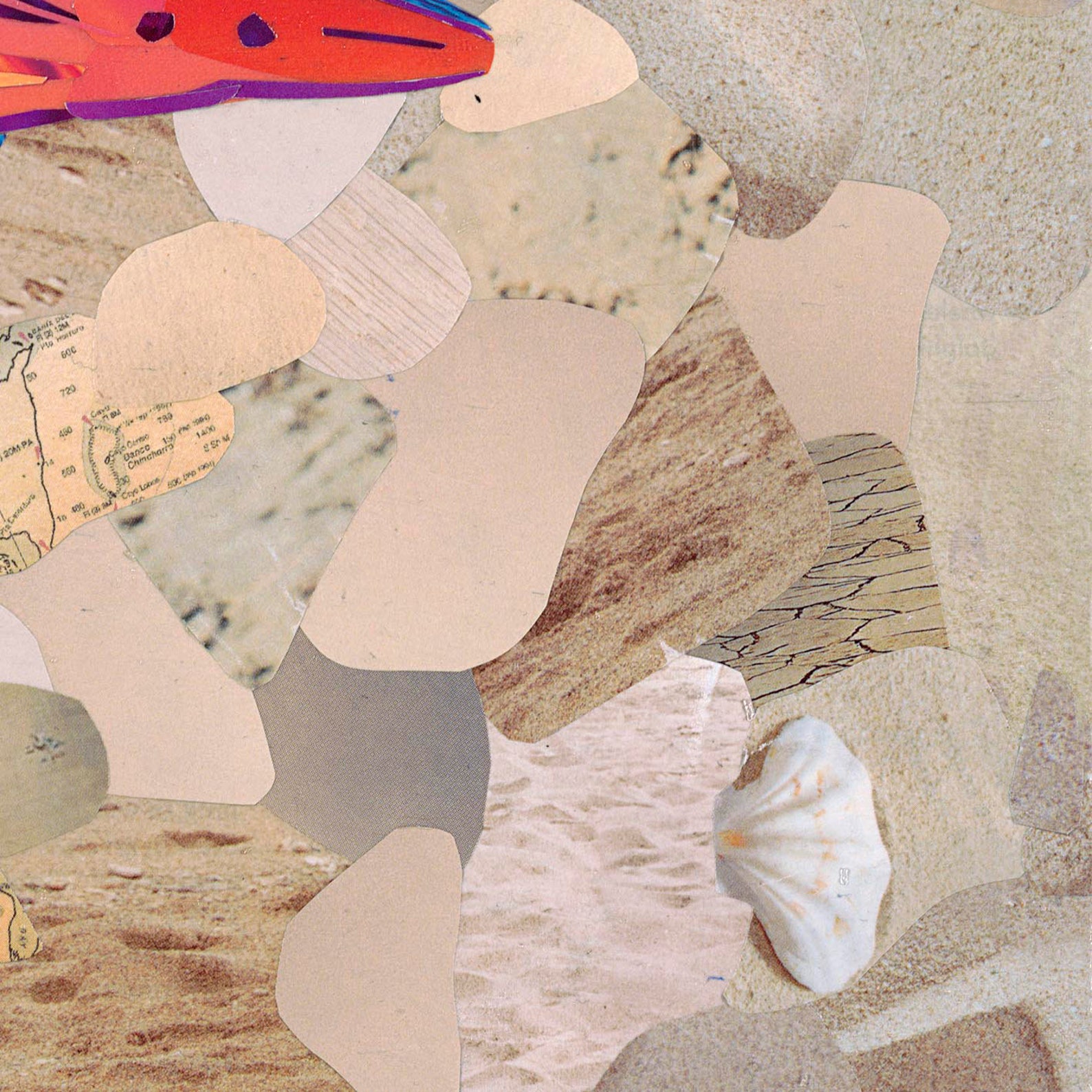 Orange Starfish Fine Art Print, Magazine Collage, Upcycle, Beach ...