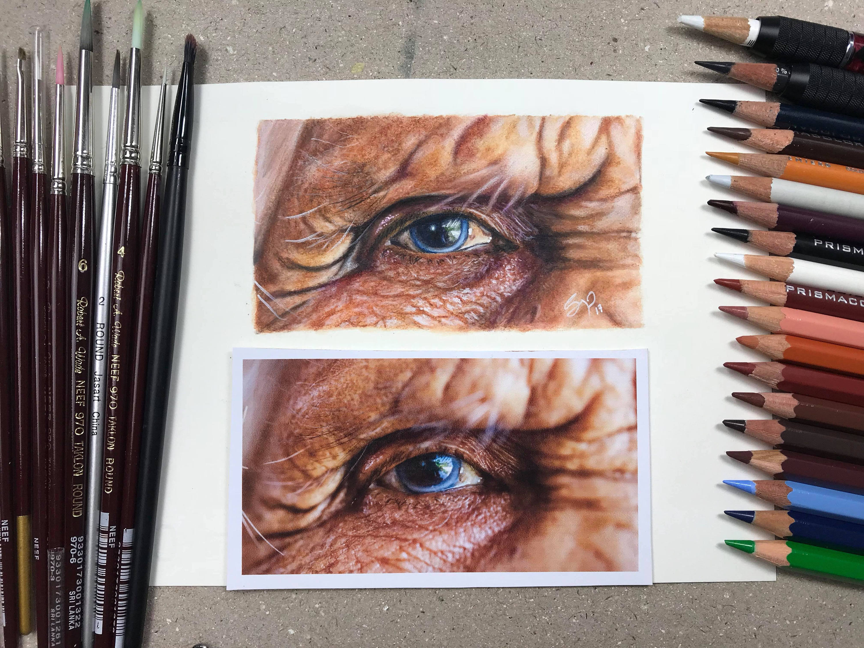 Step-by-step Tutorial on How to Draw an Elderly Eye - Etsy Australia