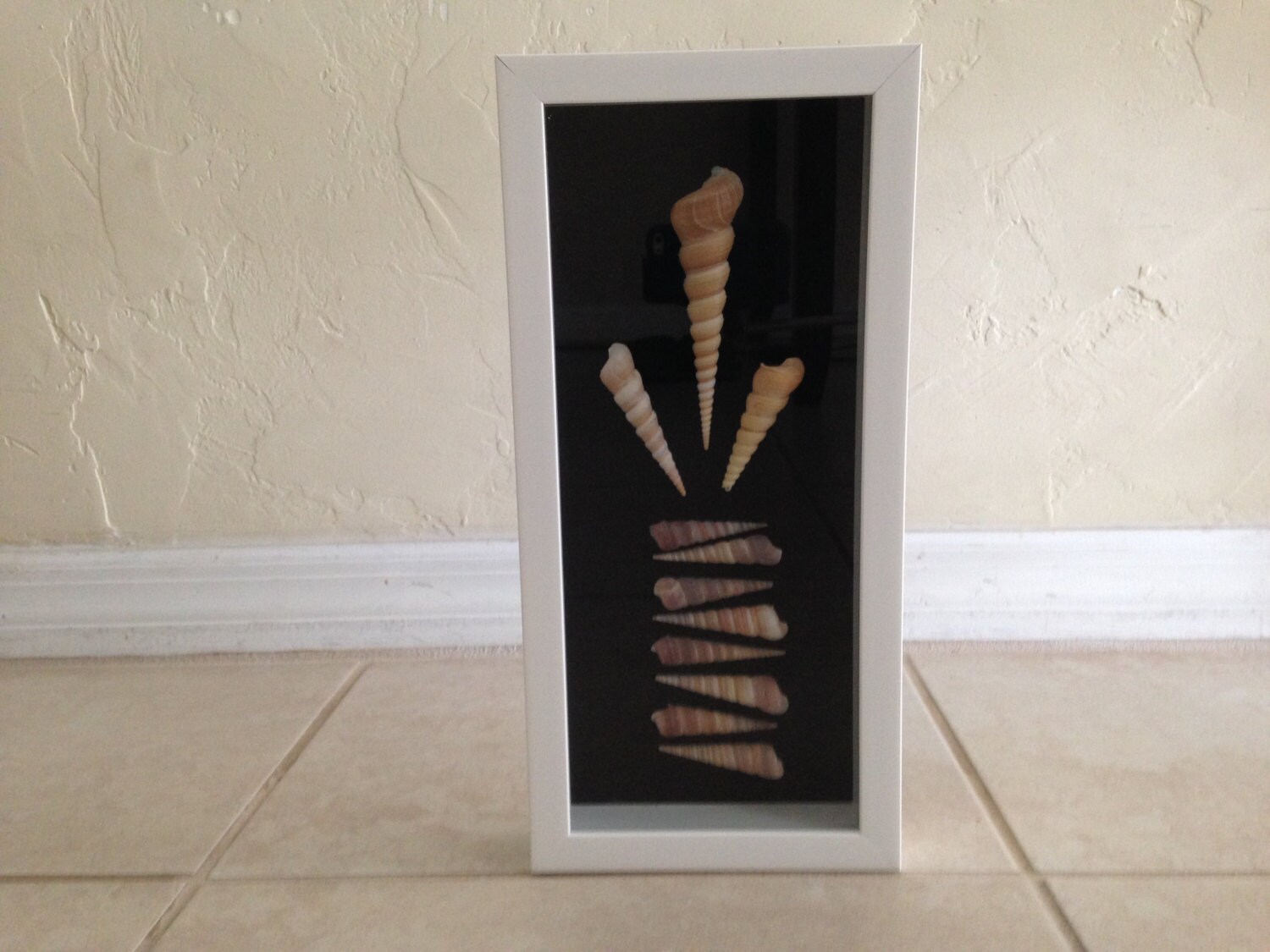 Sea Shell Shadow Box Sea Shell Beach Wall Decor Nautical Decor Beach ...