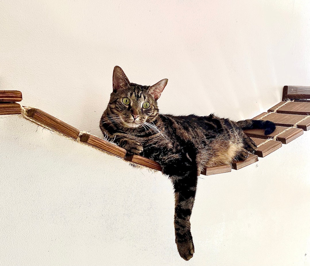 Kitty Walkway Cat Shelves Cat Tree Wall Mounted Steps Cat Bridge - Etsy
