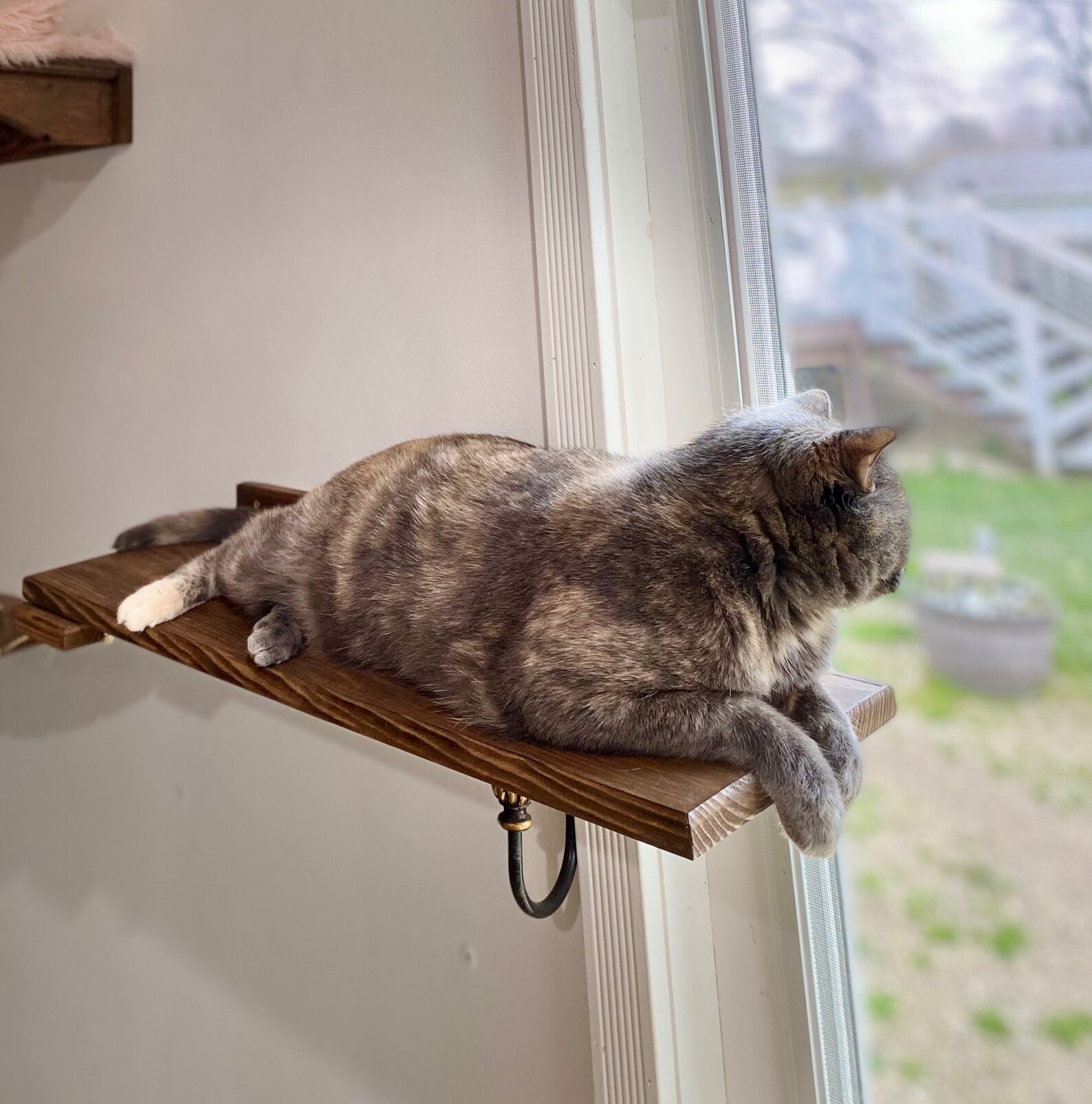 Cat Window Shelf Extension set of 2 - Etsy