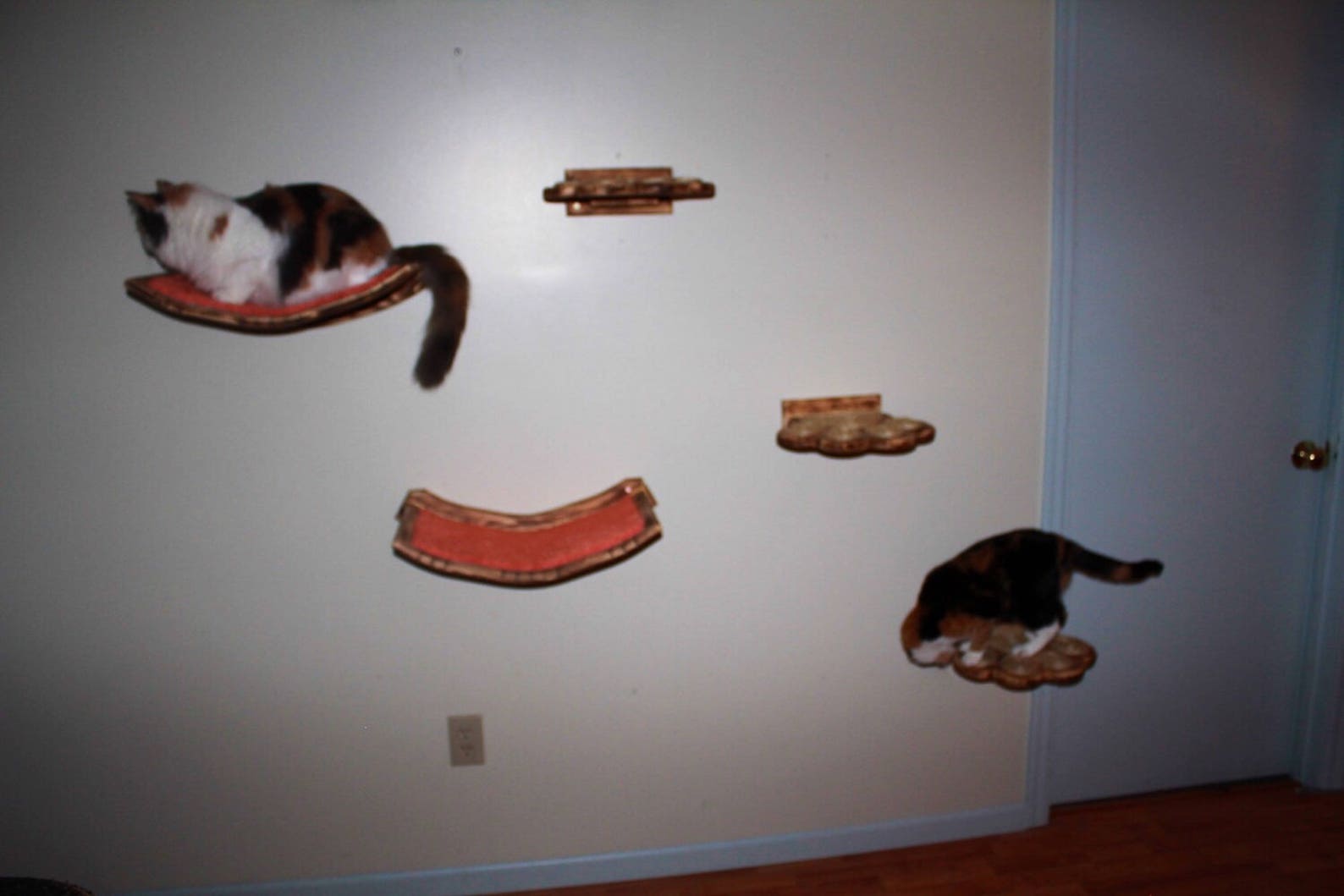 Cat Paw Steps set of 3 - Etsy