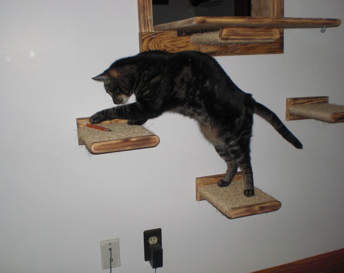 Flat Sisal Cat Step (set of 3) - Etsy