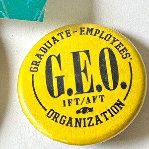 Nader, Laduke, Peace, Illinois, Button Badge Pin Lot - Etsy