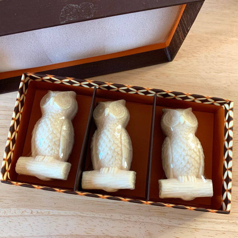 Owl Soap - Etsy