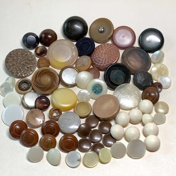 Plastic Shank Button - Etsy