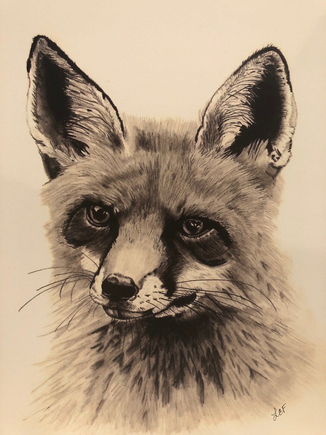 Fox Portrait/fox Art Print/curious Fox Gazing - Etsy