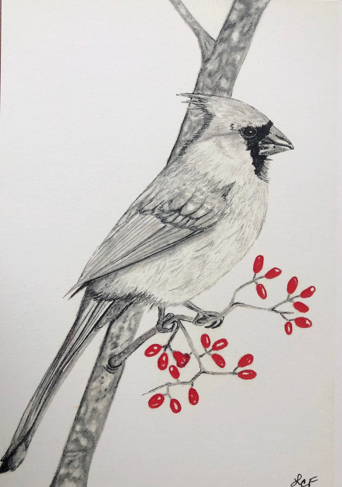 Cardinal Perched on a Branch With Red Berries/male Cardinal Artwork ...