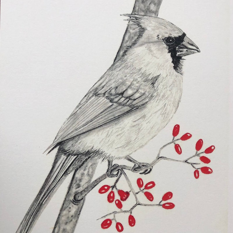 Cardinal Art - Etsy