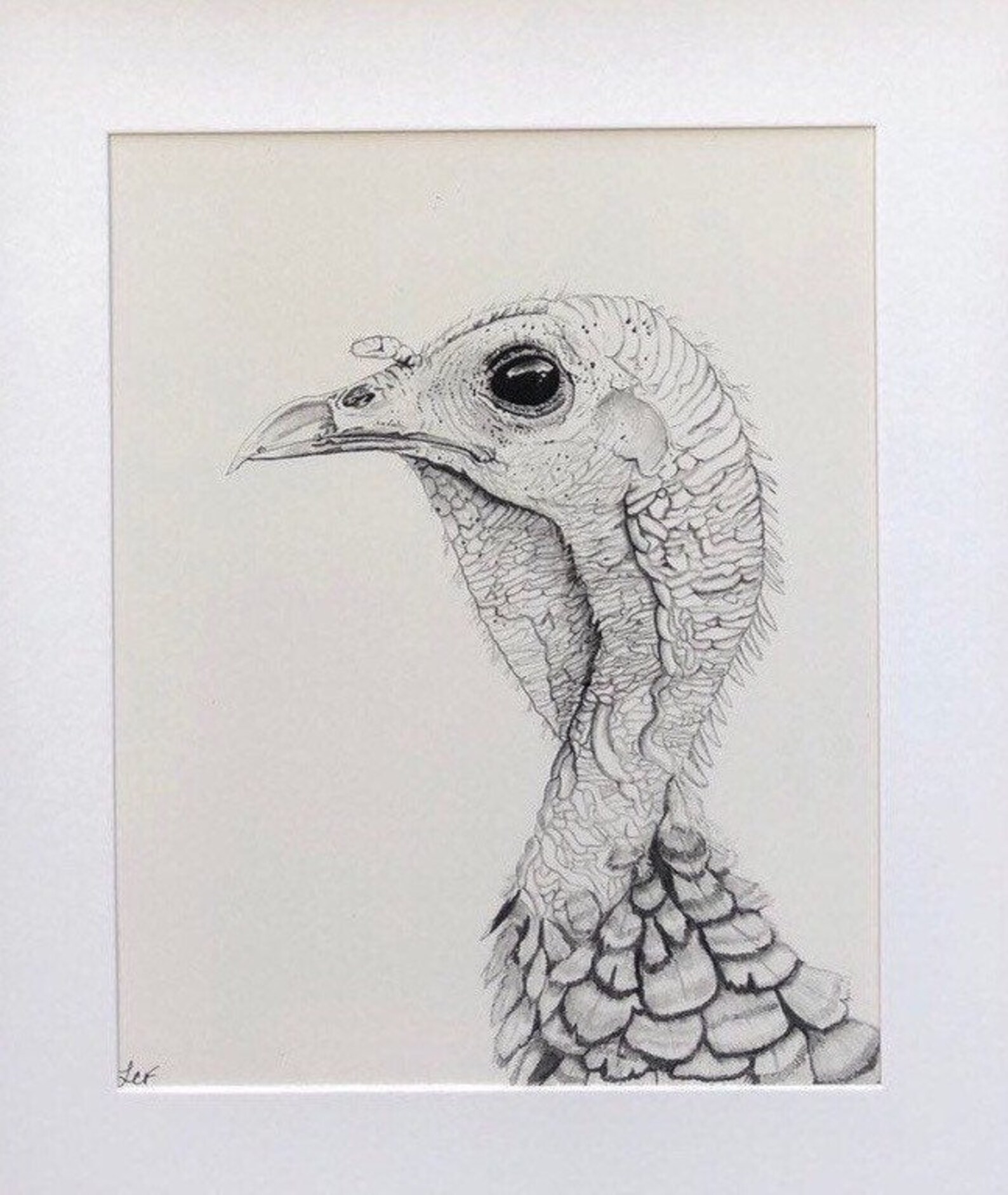 Turkey Hen Profile/ Turkey Art Print/ Fall Artwork/thanksgiving Print ...