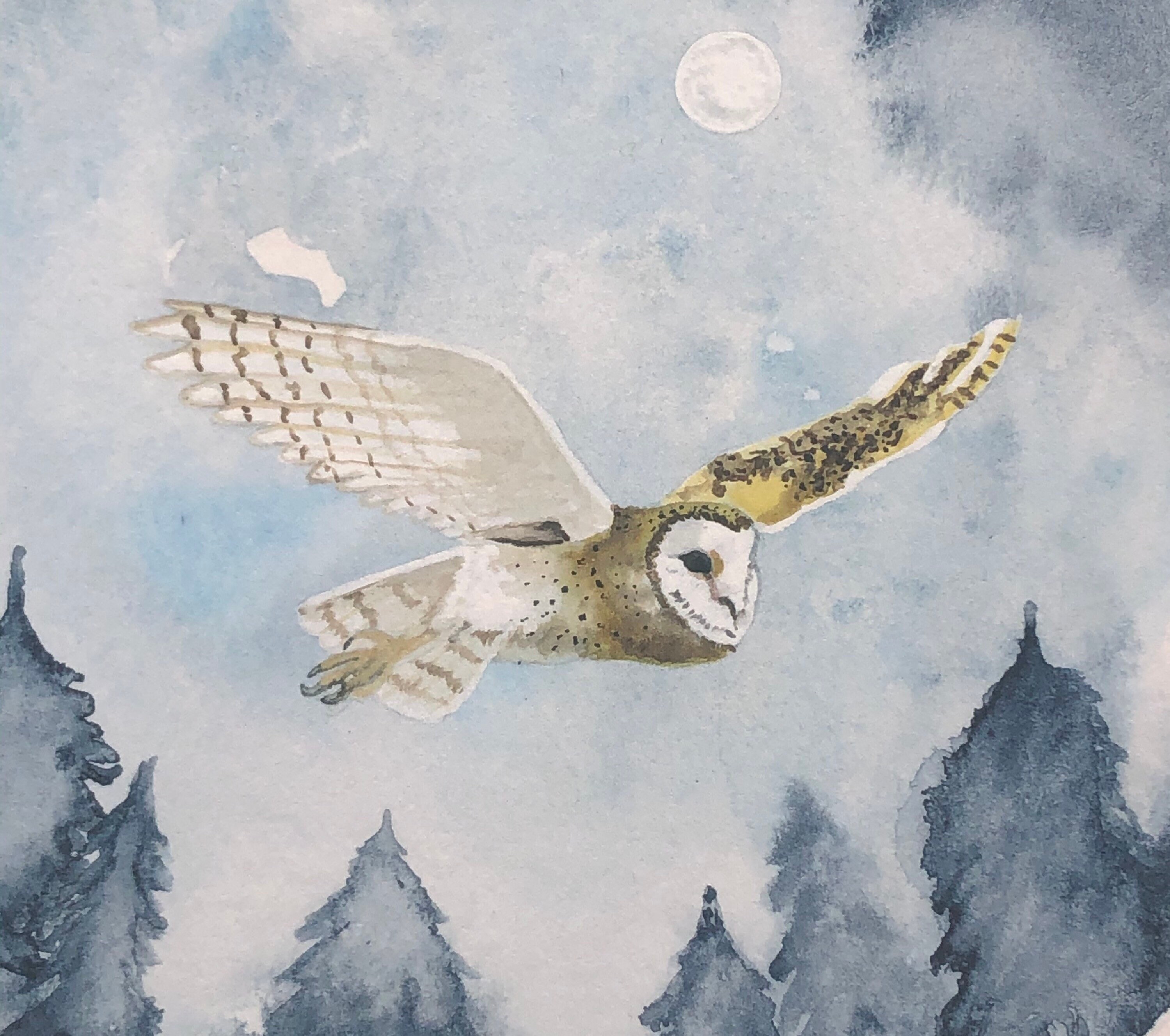 5x7 Barn Owl in Flight/moonlight Forest With Owl/owl Against the Moon ...
