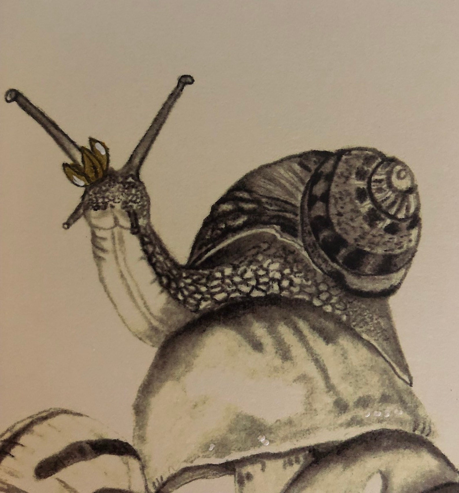 Snail Garden Art Prints, Pencil Art Prints, Snail Art Prints, Hand ...