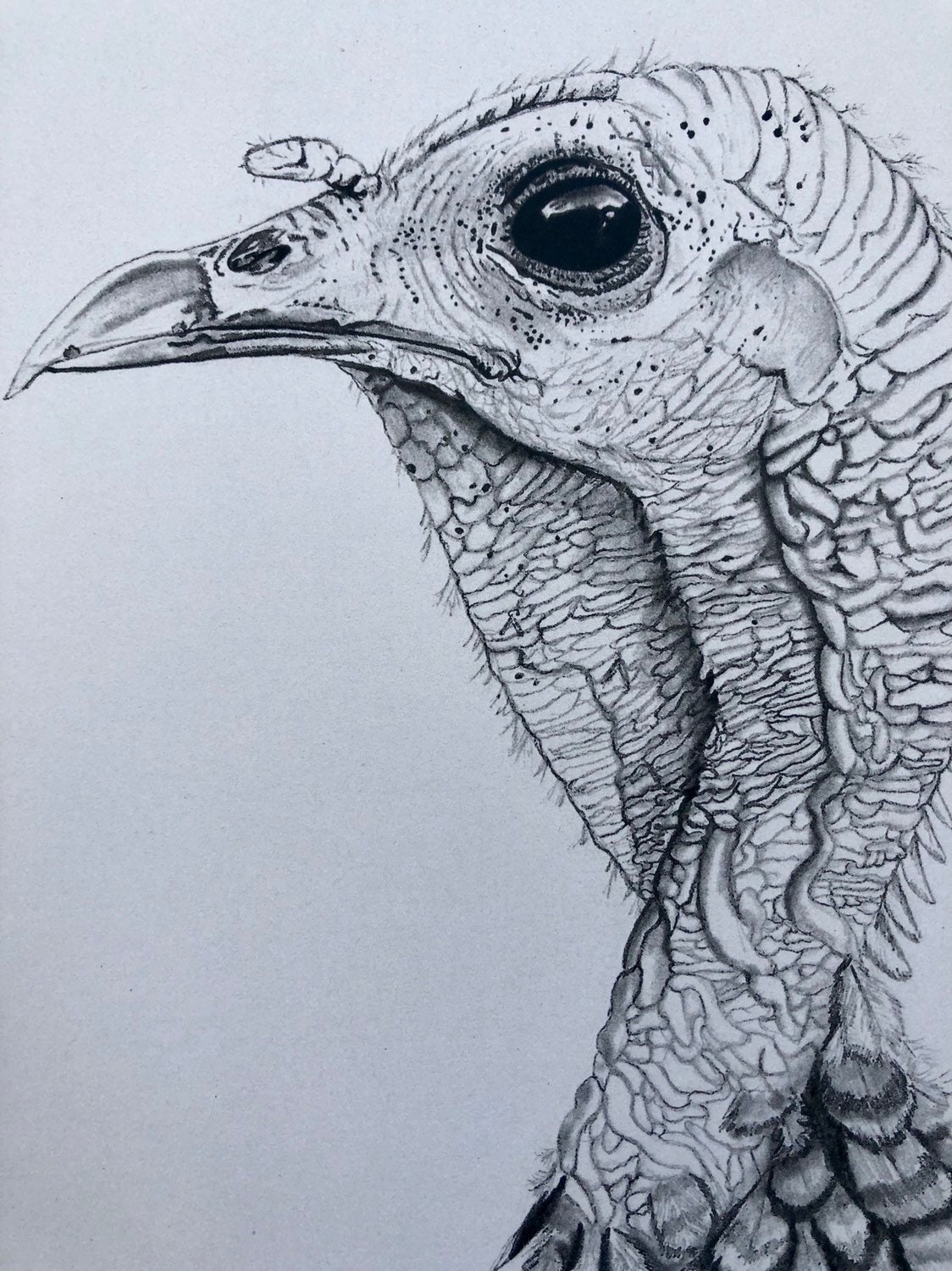 Turkey Hen Profile/ Turkey Art Print/ Fall Artwork/thanksgiving Print ...