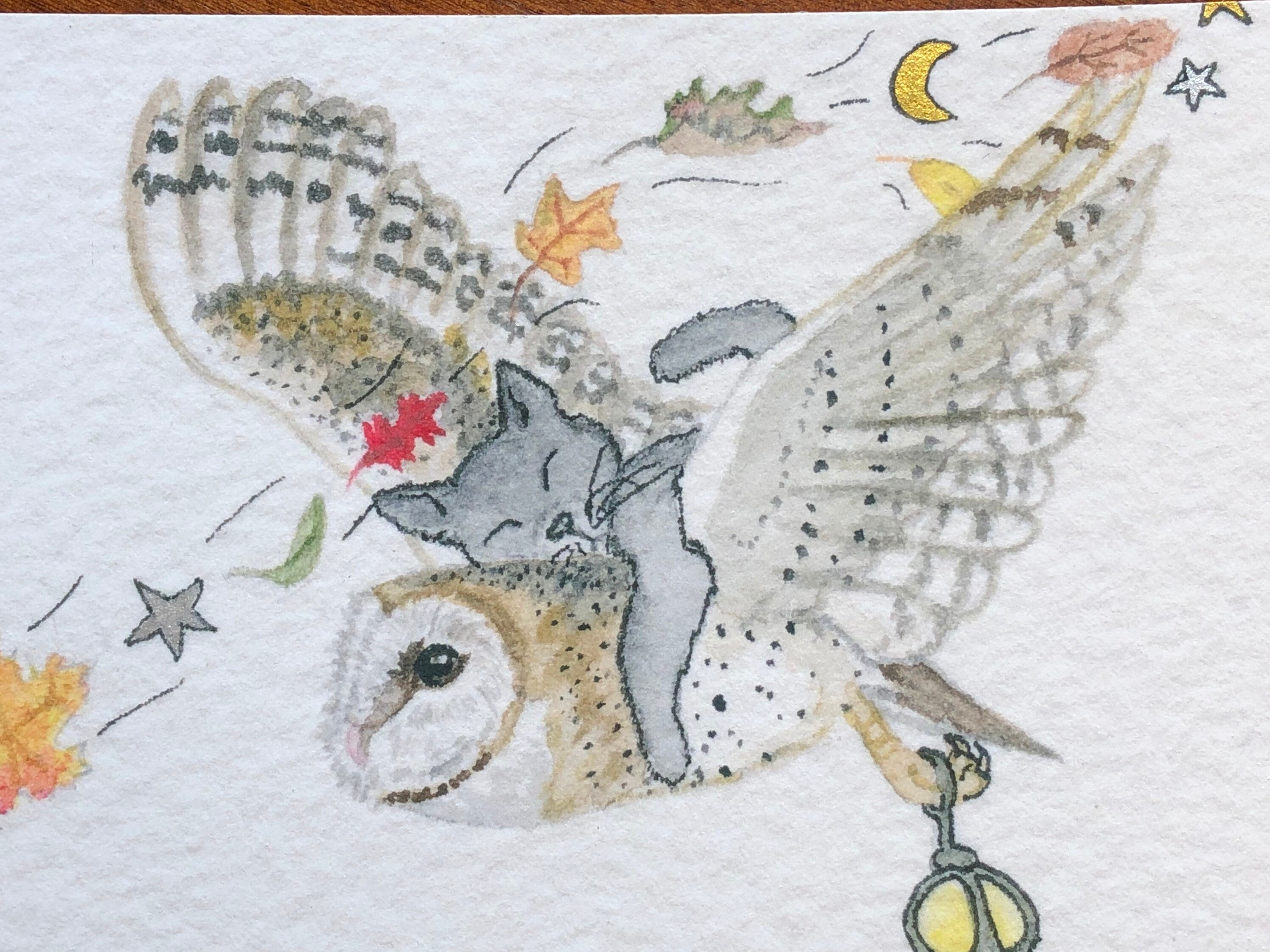 Owls Flying Cat