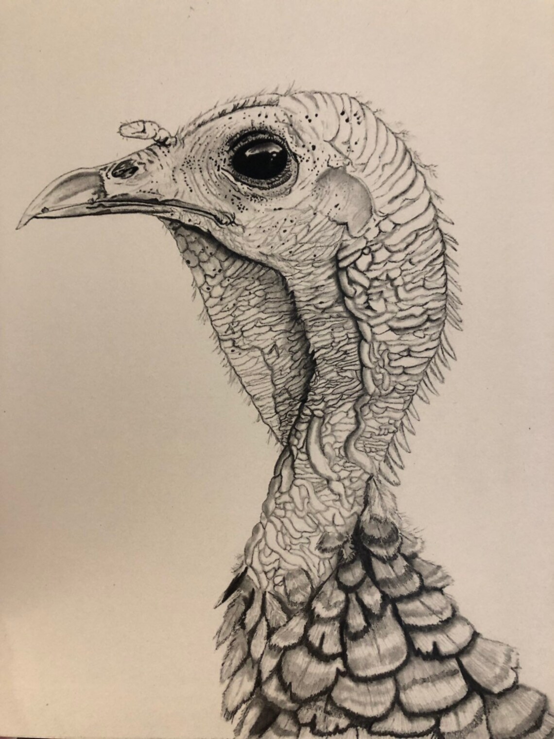 Turkey Hen Profile/ Turkey Art Print/ Fall Artwork/thanksgiving Print ...