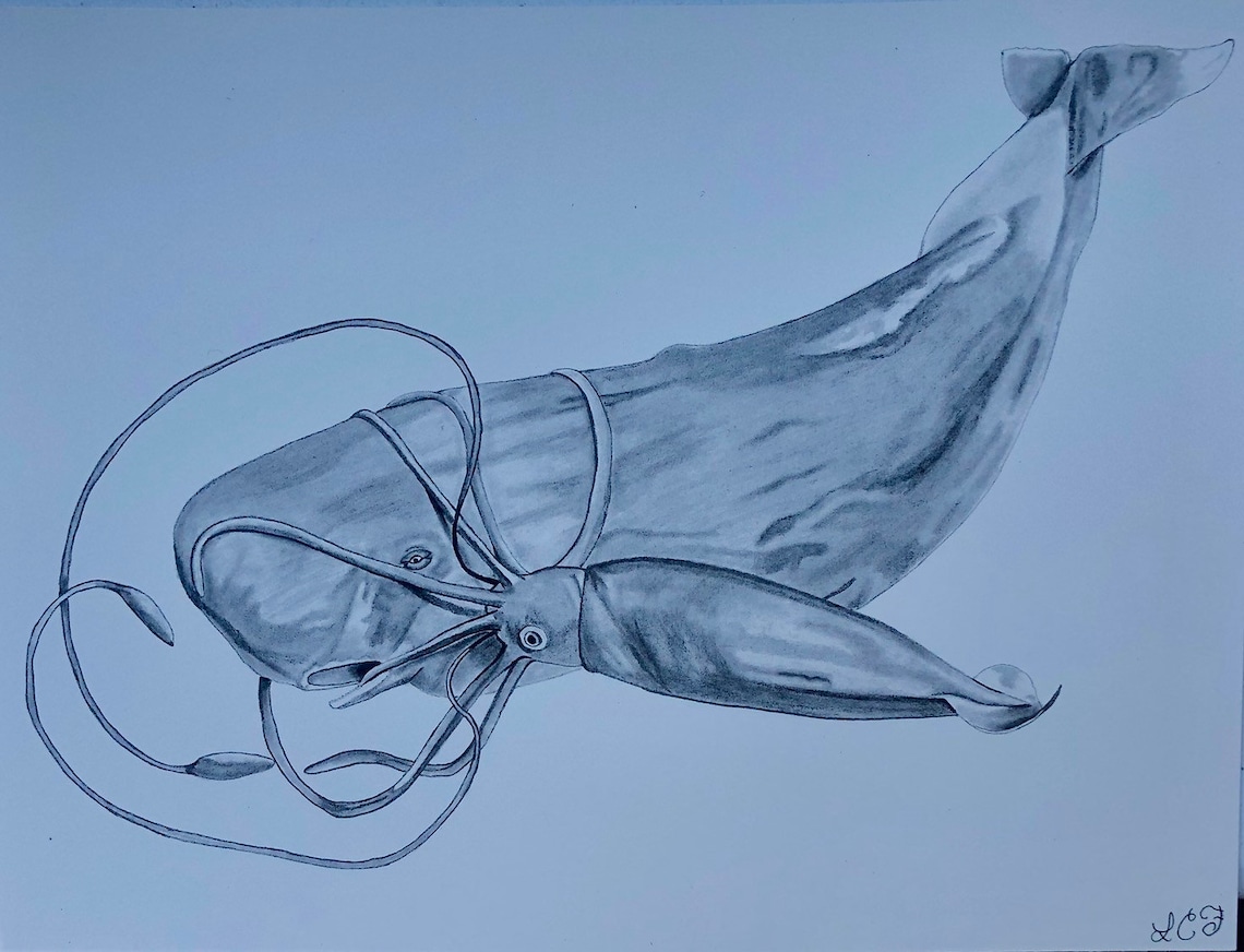 Giant Squid Vs. Sperm Whale/ocean Art/ocean Monster Battle/sea ...