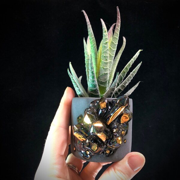 Succulent Crystal - Etsy