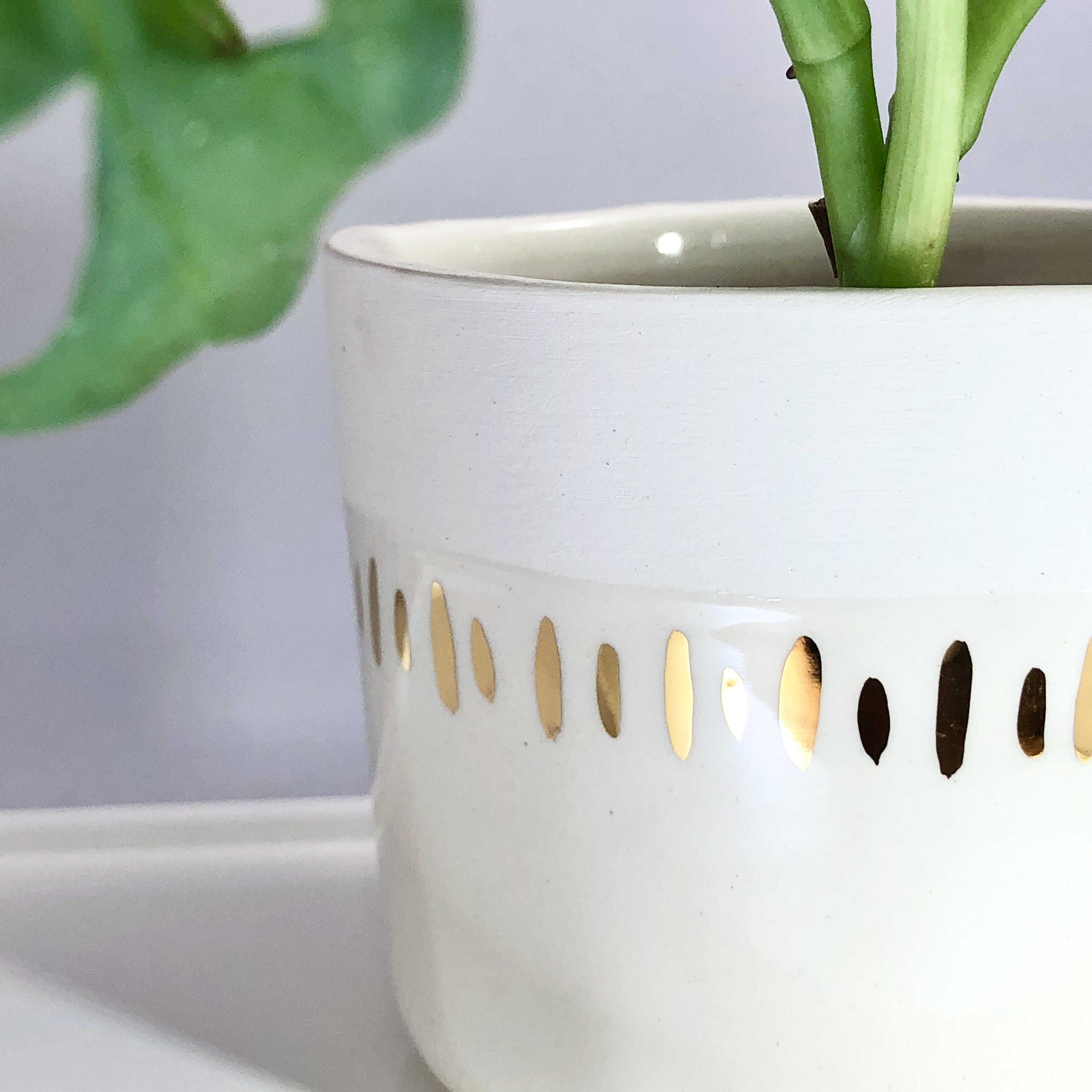 Ceramic and 22k Gold Planter Size Medium Ceramic Succulent - Etsy