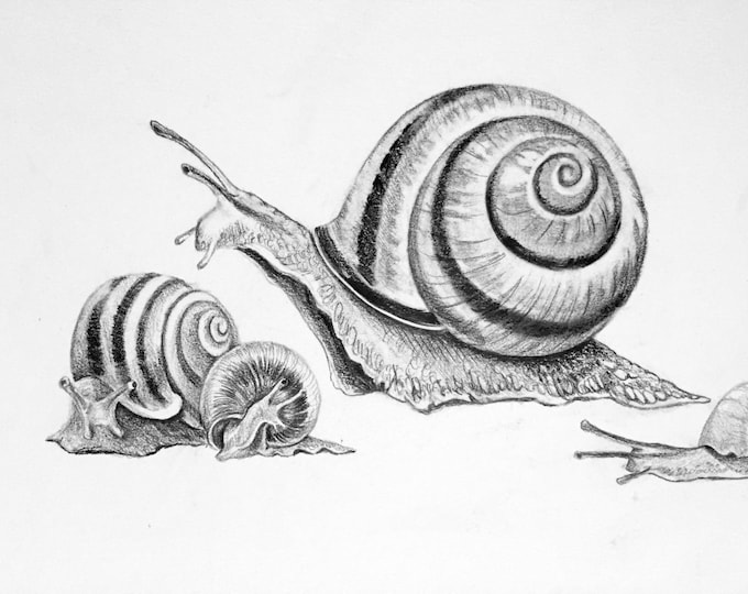 Original Drawing of Snails, Whimsical Snail Illustration, Original ...