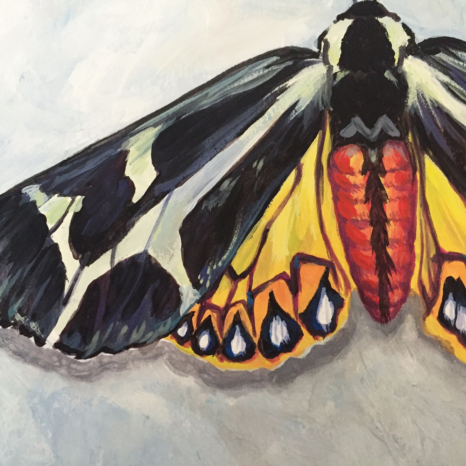 Moth Painting Original Moth Illustration Original Painting - Etsy